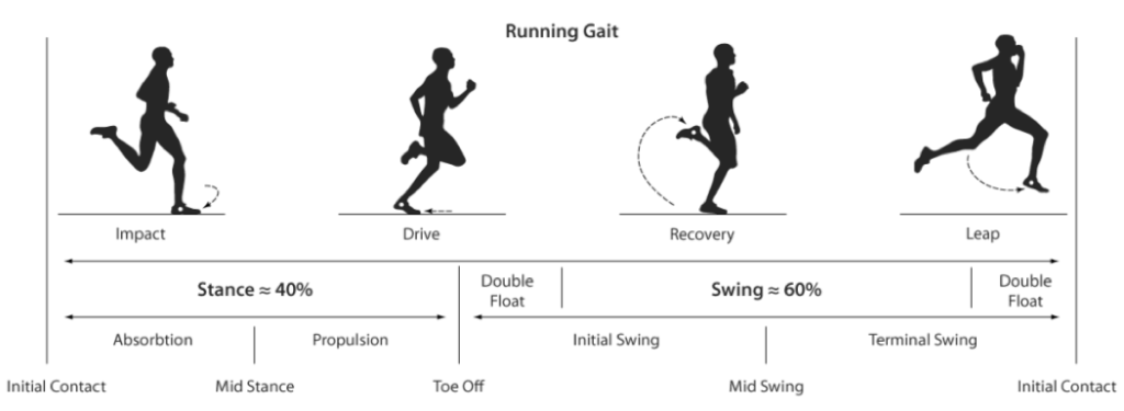 Foot biomechanics while running - Run Strong Run Free