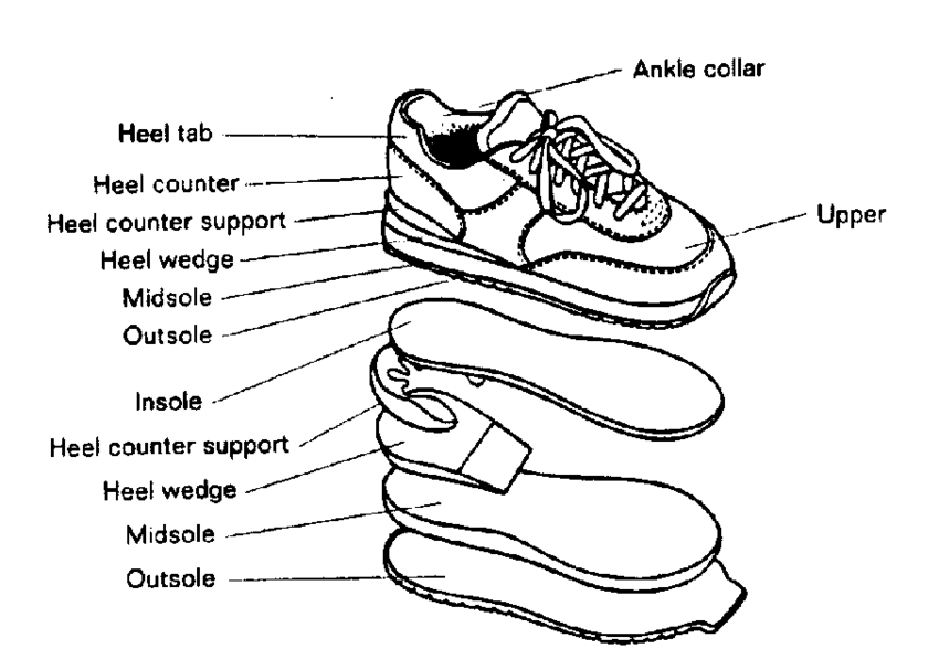 Anatomy of a Running Shoe: Understanding the Components for Optimal ...